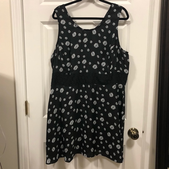 BB Dakota | Dresses | Bb Dakota Fit Flare Dress | Poshmark